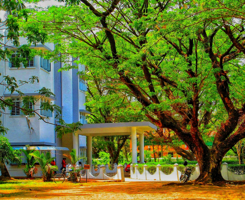 The Cochin College